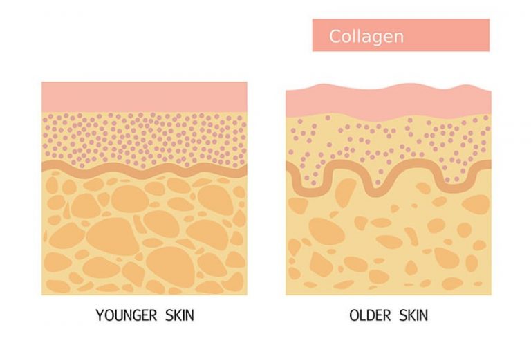 Collagen - Quick Start Weight Loss & Wellness Center